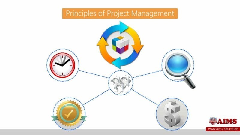 15 Basic Project Management Principles for Successful PM