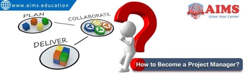 16 Essential Project Manager Responsibilities and Roles