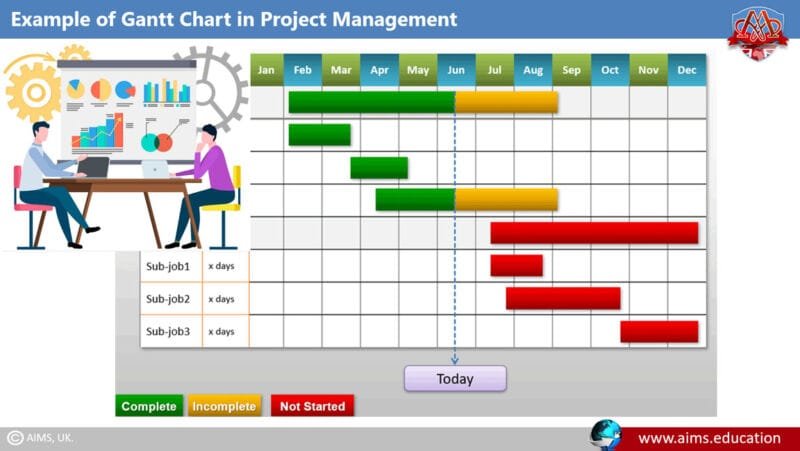 Gantt Chart Project Management: Applications & Examples